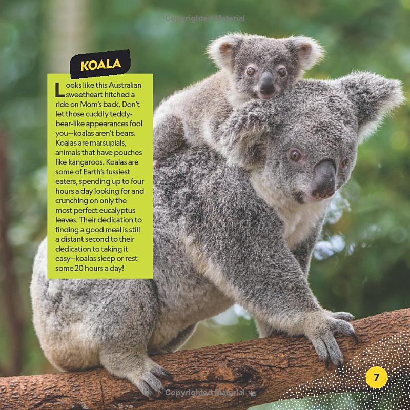 National Geographic Kids - Deadliest Animals On The Planet