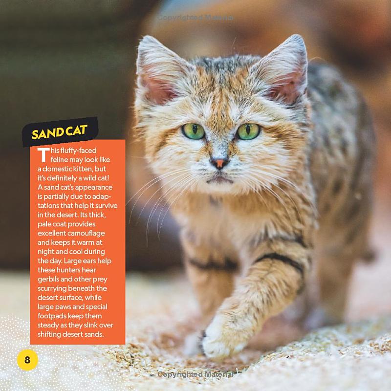 National Geographic Kids - Deadliest Animals On The Planet