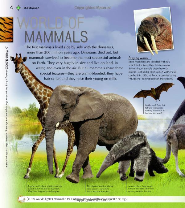 Navigators: Mammals - FAHASA.COM