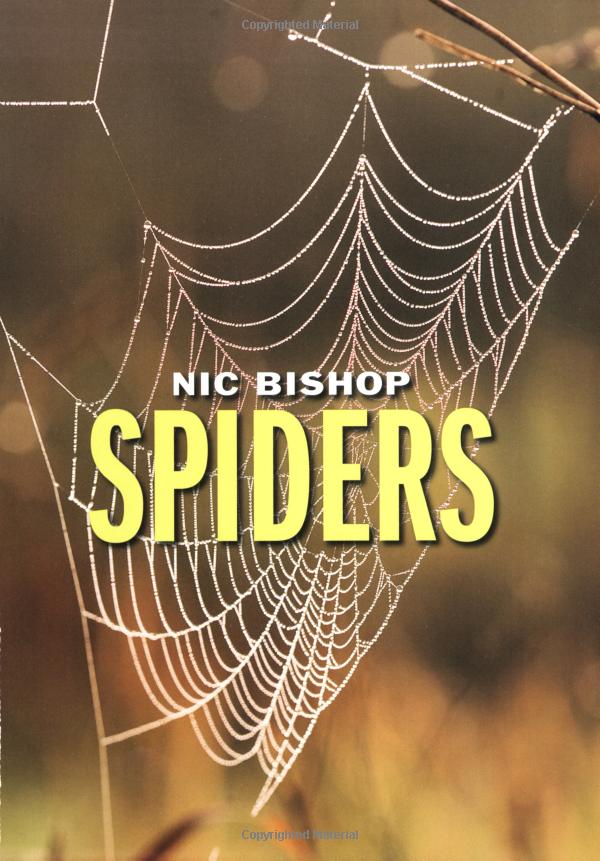 Nic Bishop: Spiders