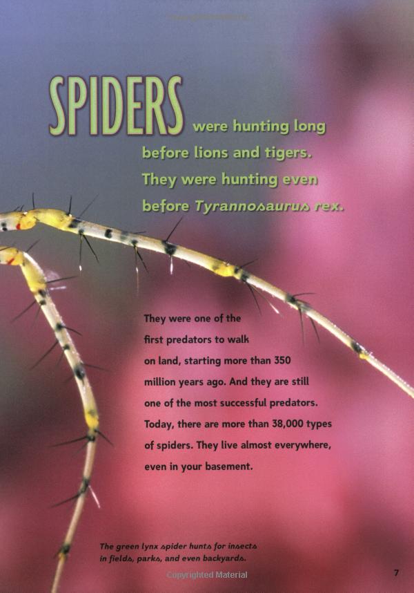 Nic Bishop: Spiders