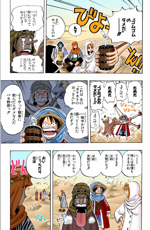 One Piece 19