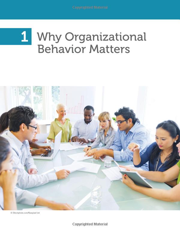 Organizational Behavior: A Critical-Thinking Approach