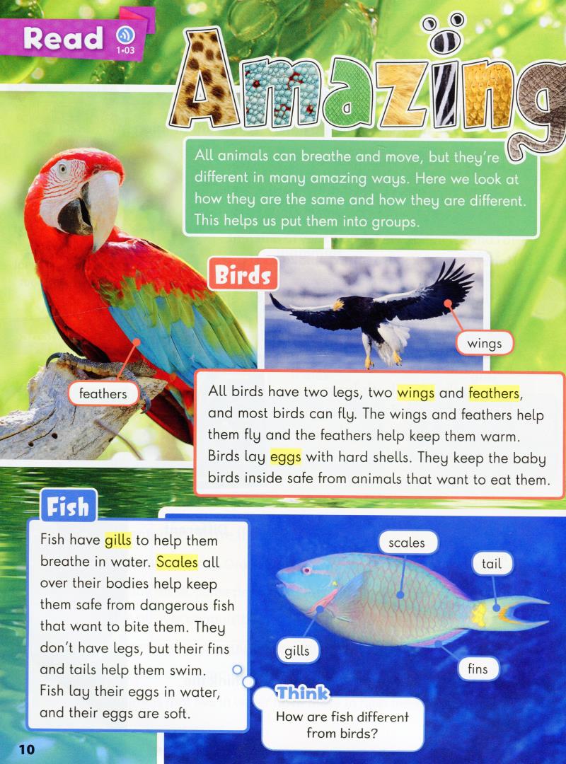 Oxford Discover 2: Student's Book - FAHASA.COM