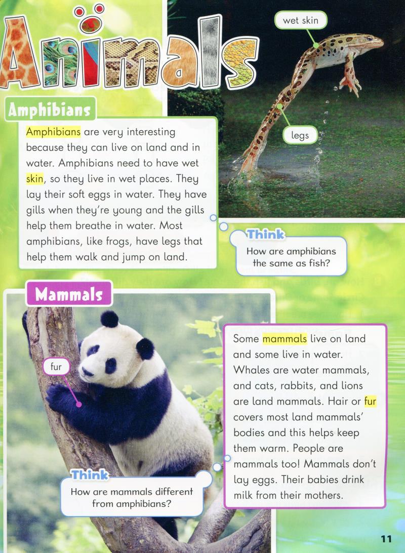 Oxford Discover 2: Student's Book - FAHASA.COM