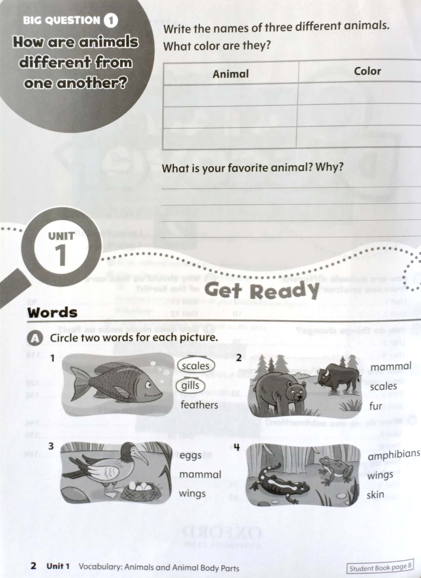 Oxford Discover: Level 2: Workbook With Online Practice - 2nd Edition ...