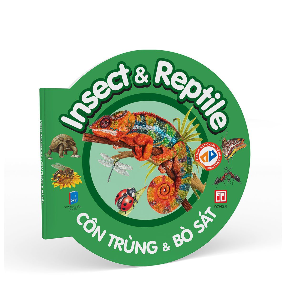 Sách Picture Dictionary - Từ Điển Bằng Hình - Insect And Reptile - Côn ...