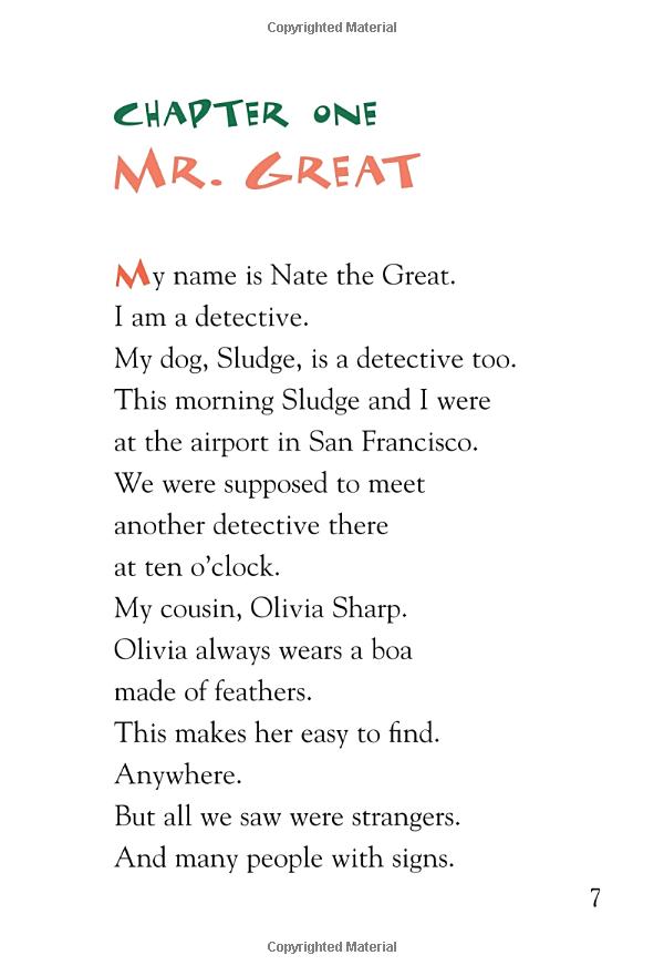 San Francisco Detective (Nate the Great Detective Stories)