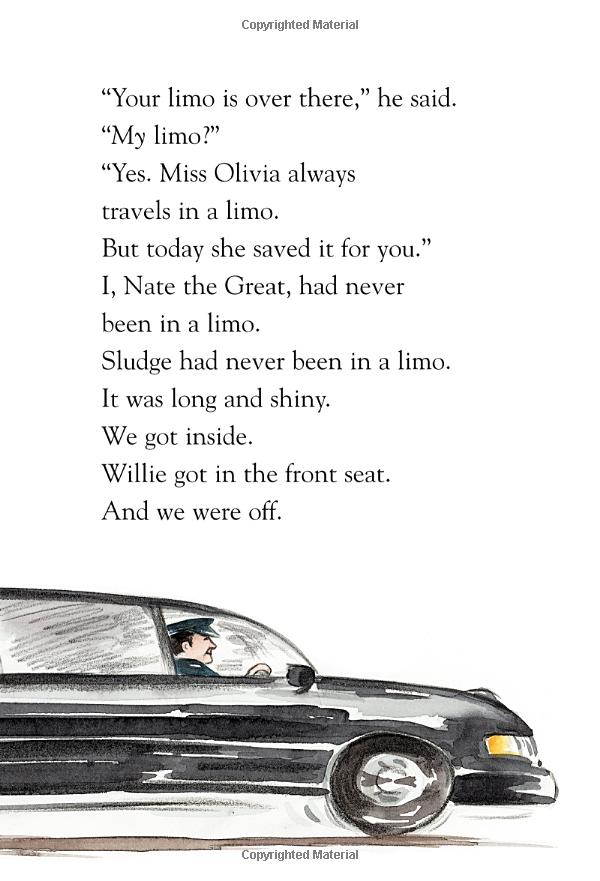 San Francisco Detective (Nate the Great Detective Stories)