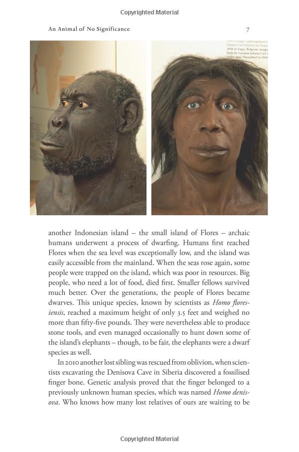 Sapiens: A Brief History of Humankind: (Patterns of Life) - FAHASA.COM