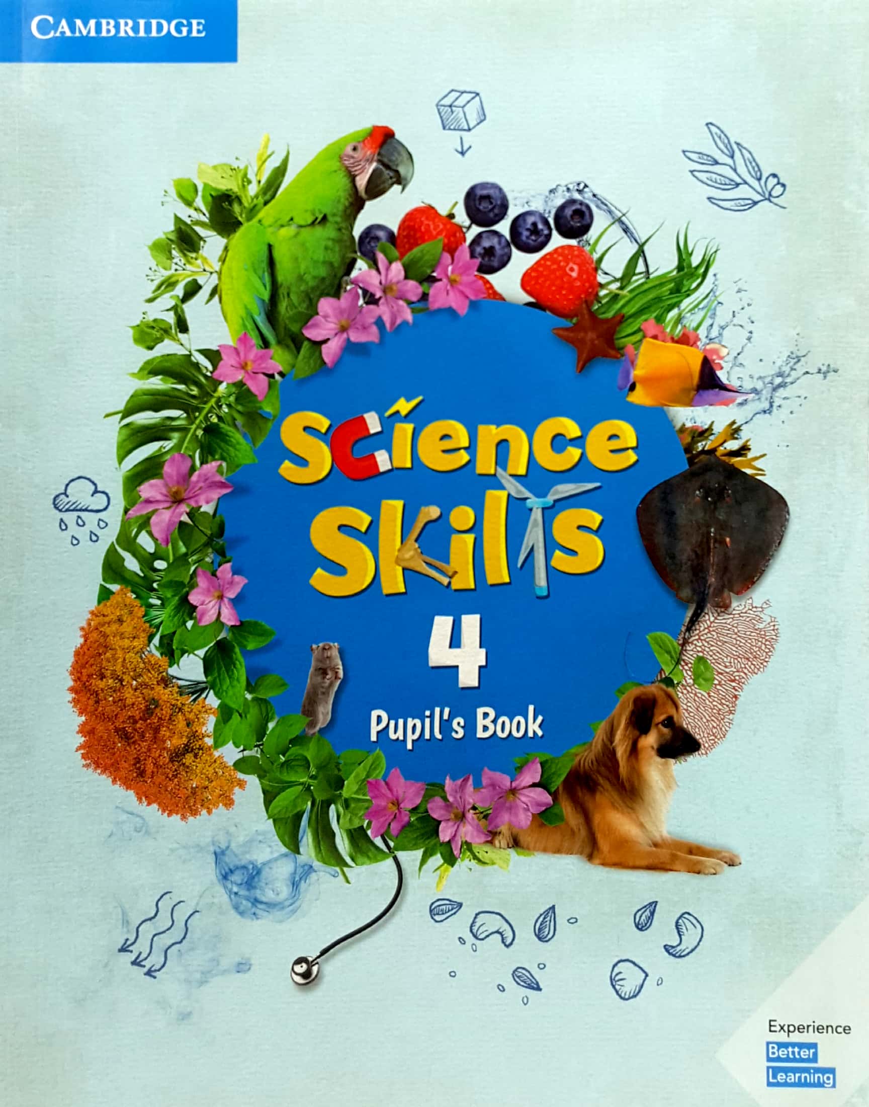 Science Skills Level 4 Pupil's Book - FAHASA.COM