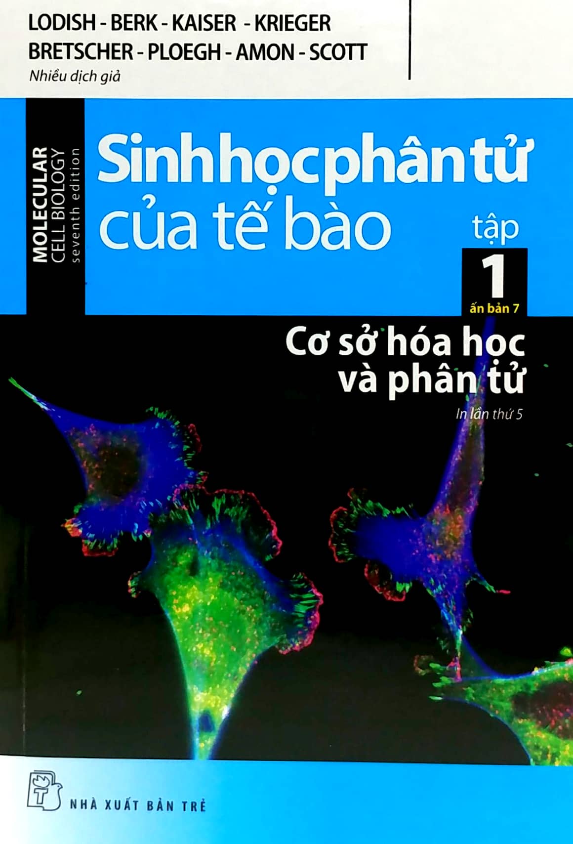 Bộ Sinh Học Phân Tử Của Tế Bào 01 - Cơ Sở Hoá Học Và Phân Tử PDF - YDS.EDU.VN