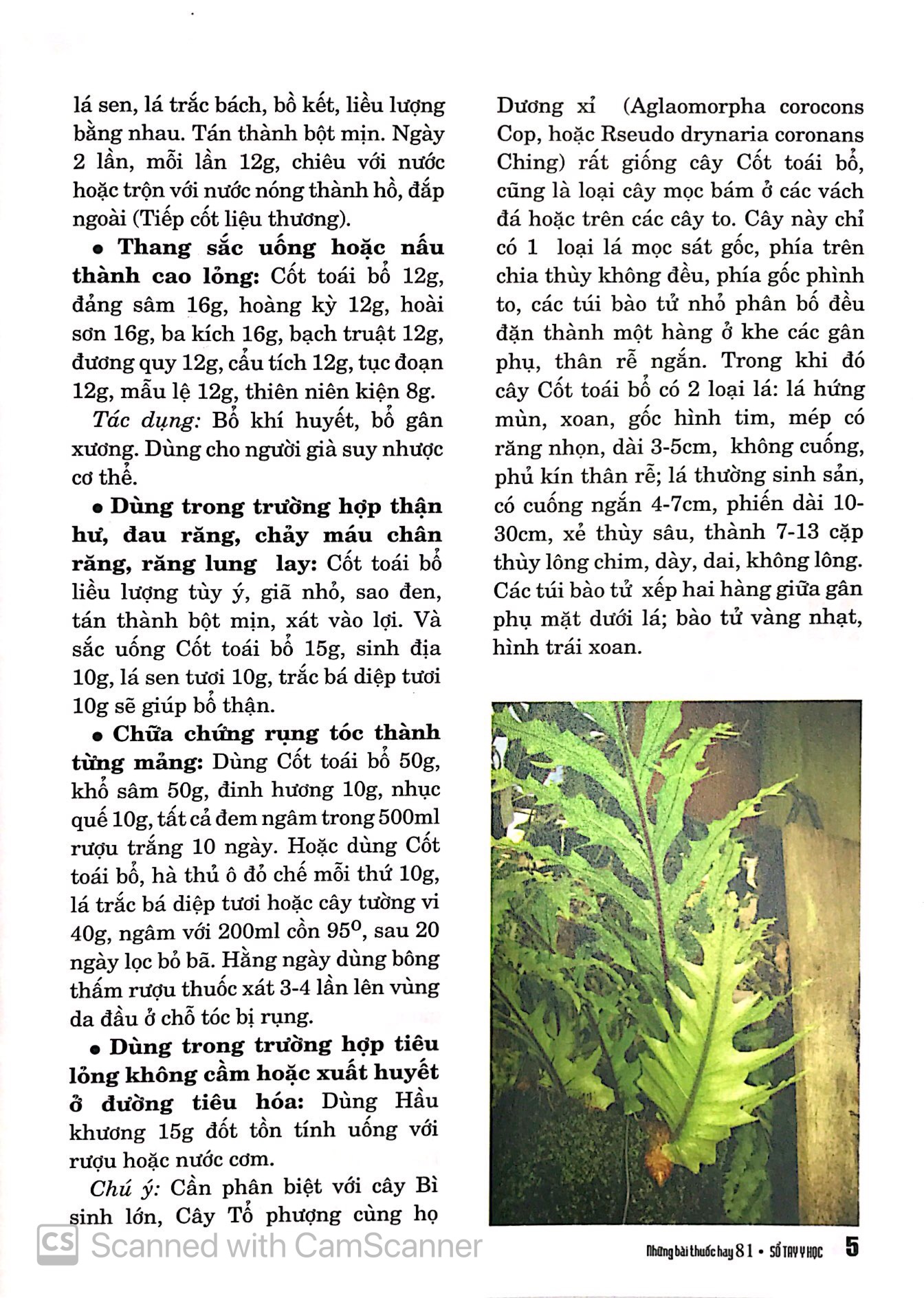 Sổ Tay Y Học - Những Bài Thuốc Hay 81 PDF - Tờ Khai Y Tế