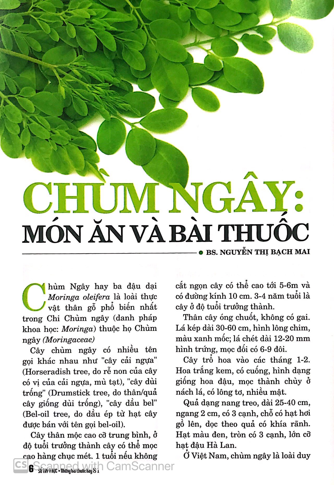 Sổ Tay Y Học - Những Bài Thuốc Hay 81 PDF - Tờ Khai Y Tế