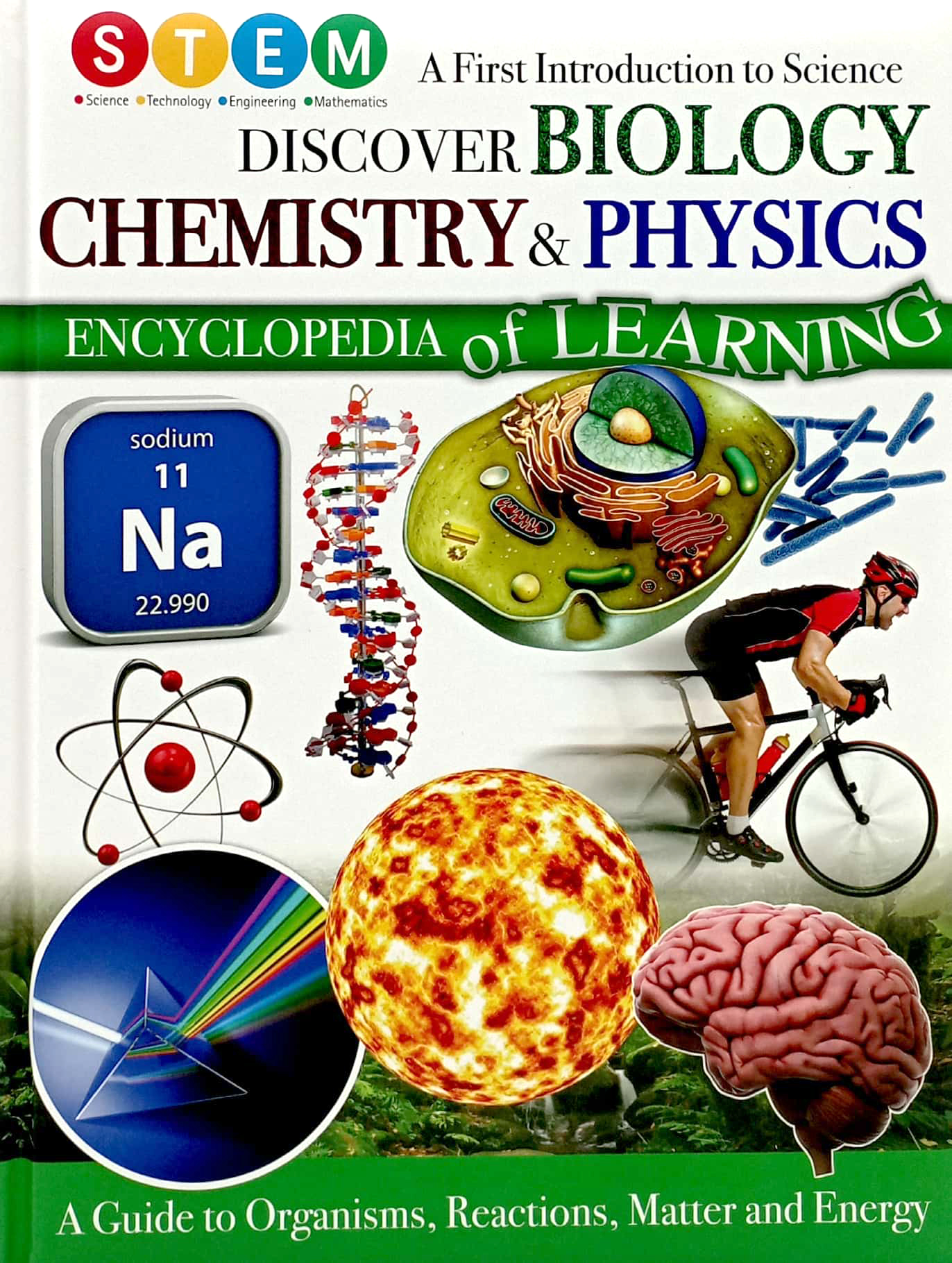 STEM - A First Introduction To Science: Discover Biology, Chemistry ...