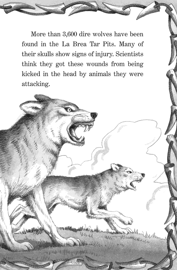Sunset of the Sabertooth (Magic Tree House, No. 7) - FAHASA.COM