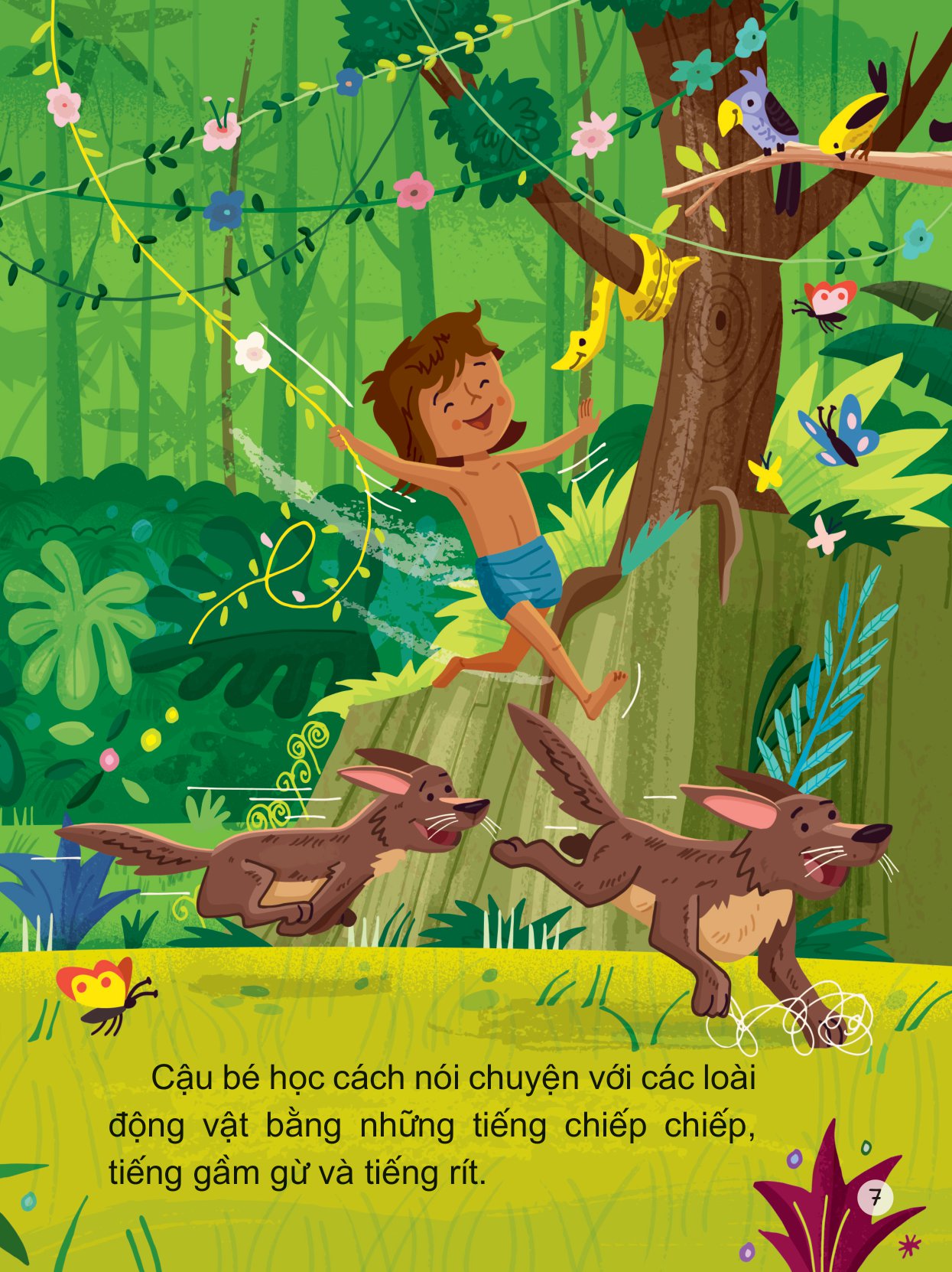 Sách Tác Phẩm Kinh Điển Dành Cho Thiếu Nhi - Câu Chuyện Rừng Xanh ...