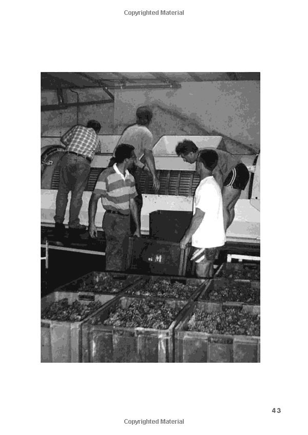 The Art Of Making Memories: How To Create And Remember Happy Moments ...