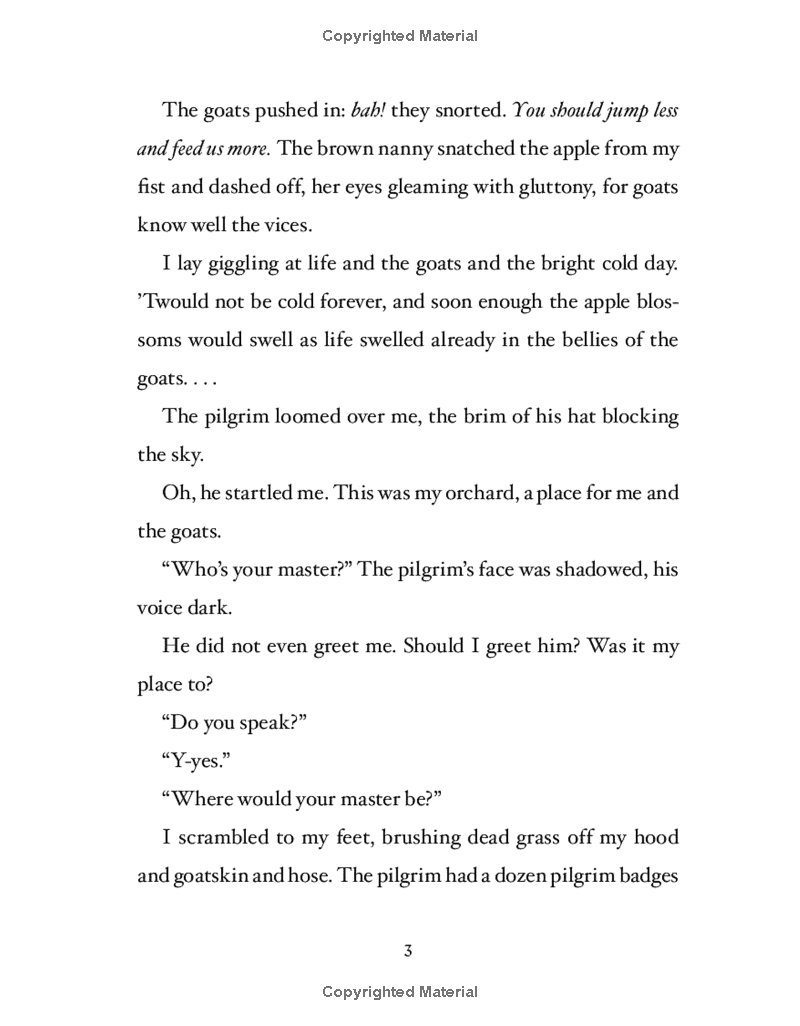 The Book Of Boy - A Newbery Honor Award Winner - FAHASA.COM