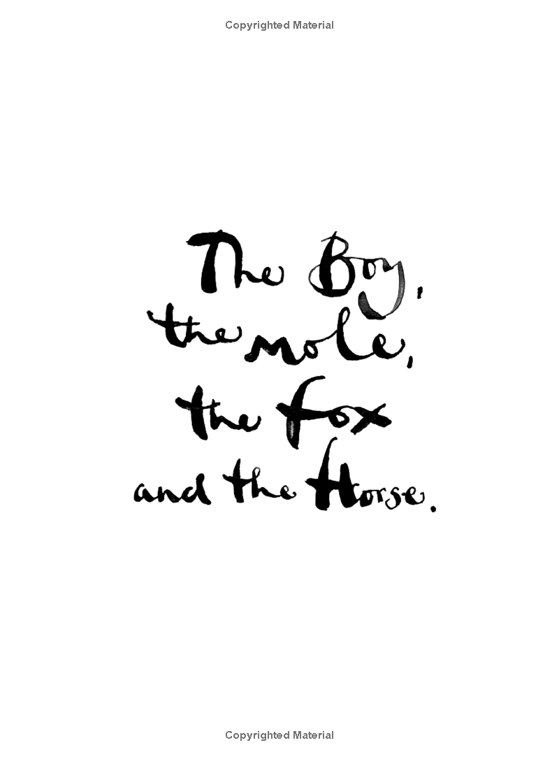 The Boy, The Mole, The Fox And The Horse - FAHASA.COM