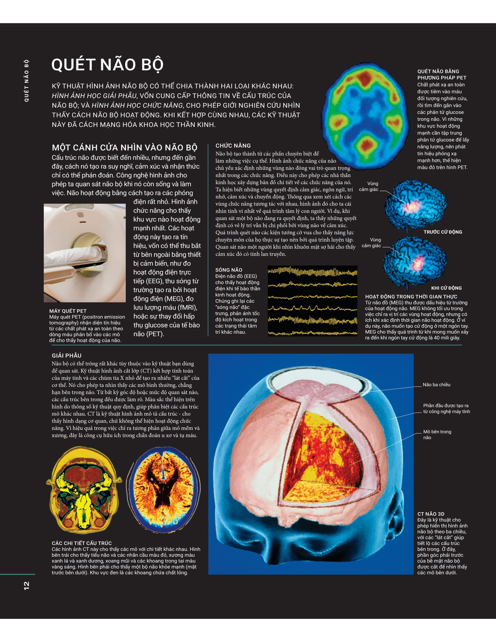 Sách The Brain Book - Não Chúng Ta Có Gì Và Làm Gì? - Bìa Cứng - FAHASA.COM