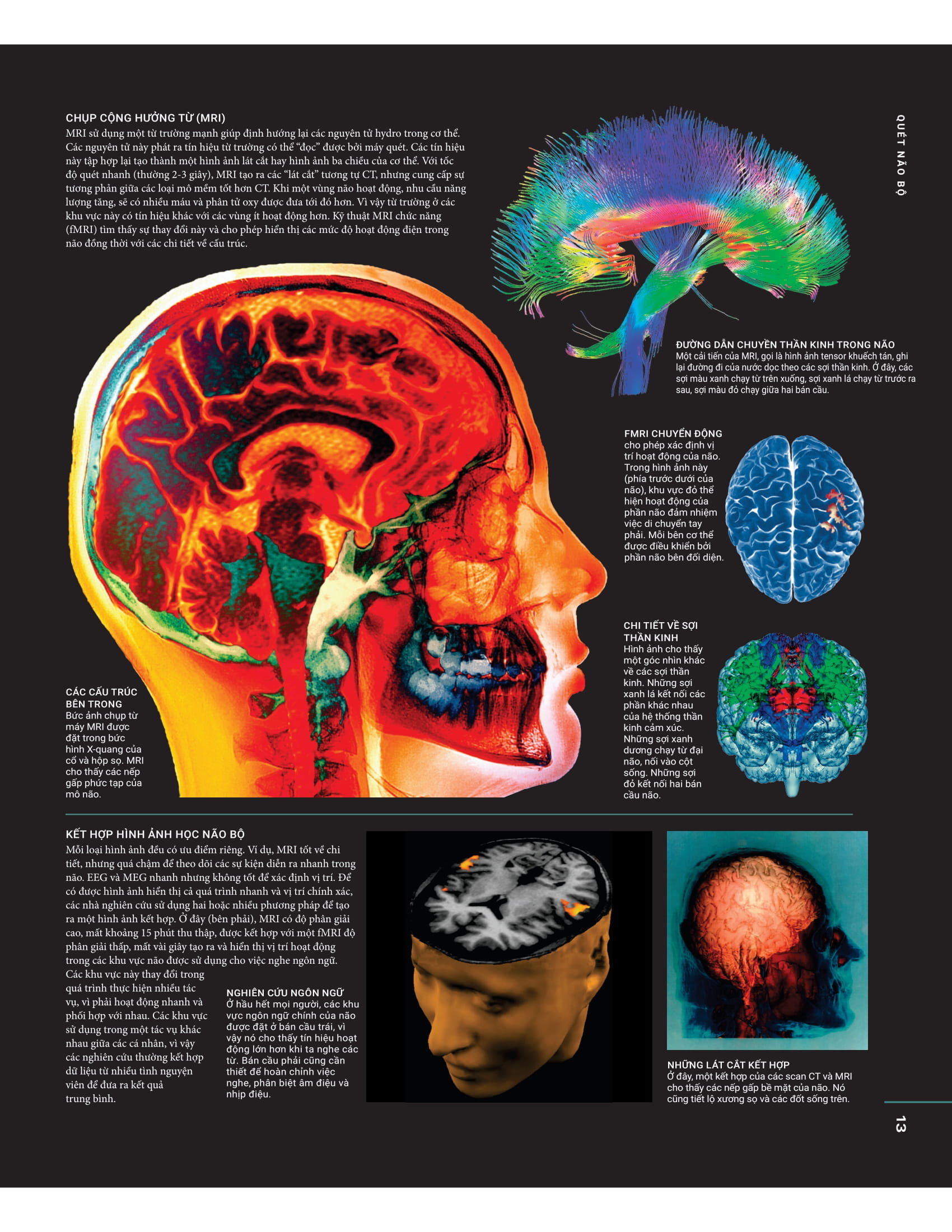 The Brain Book - Não Chúng Ta Có Gì Và Làm Gì? PDF - Tờ Khai Y Tế