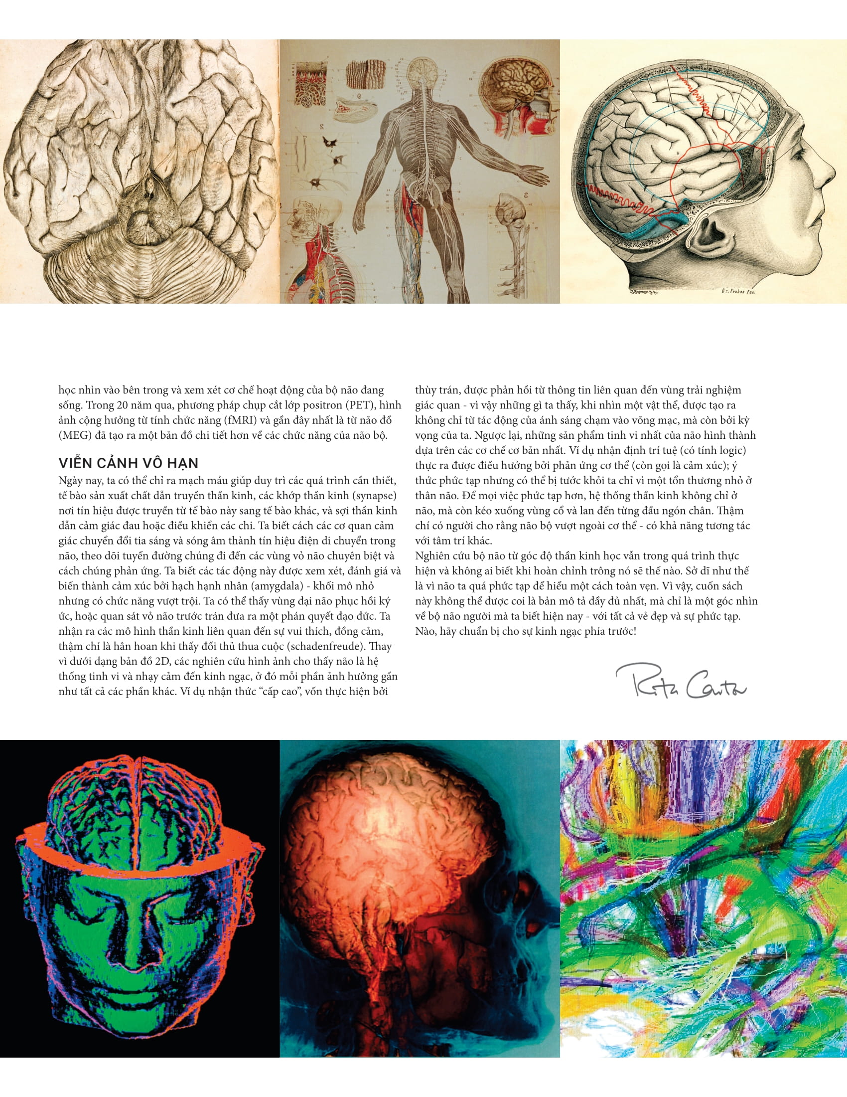 The Brain Book - Não Chúng Ta Có Gì Và Làm Gì? PDF - Tờ Khai Y Tế