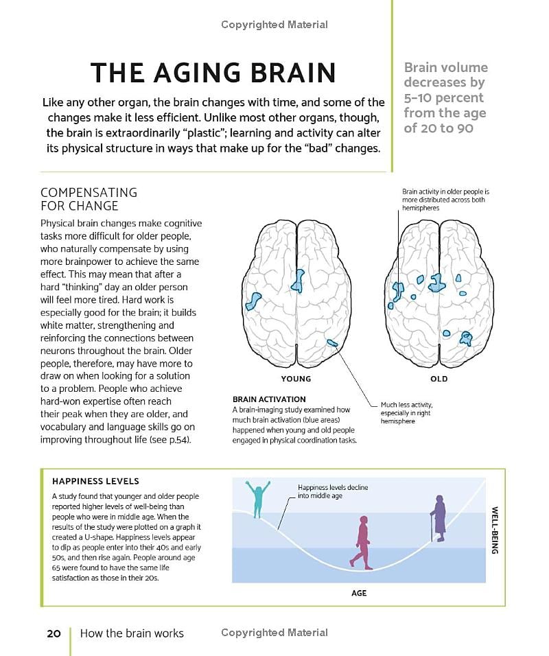 The Brain Fitness Book: Activities And Puzzles To Keep Your Mind Active ...