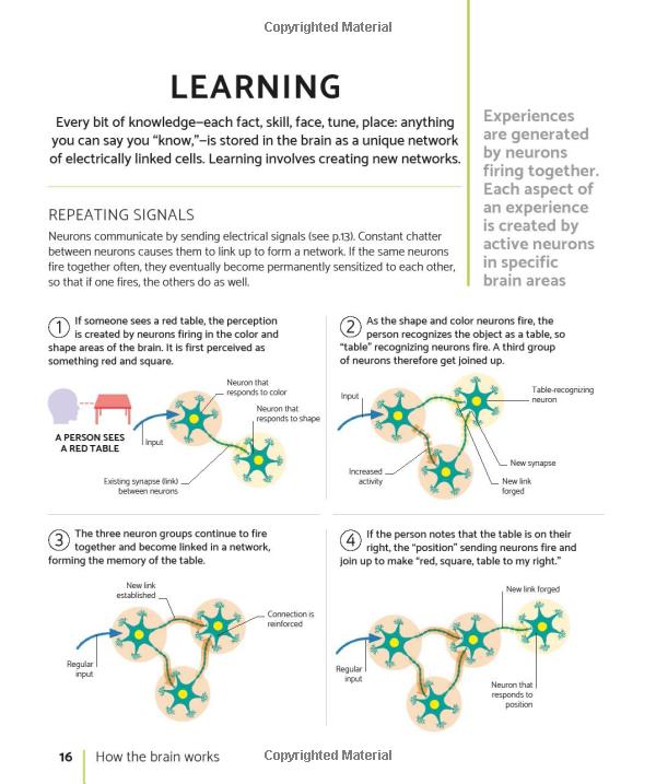 The Brain Fitness Book: Activities And Puzzles To Keep Your Mind Active ...