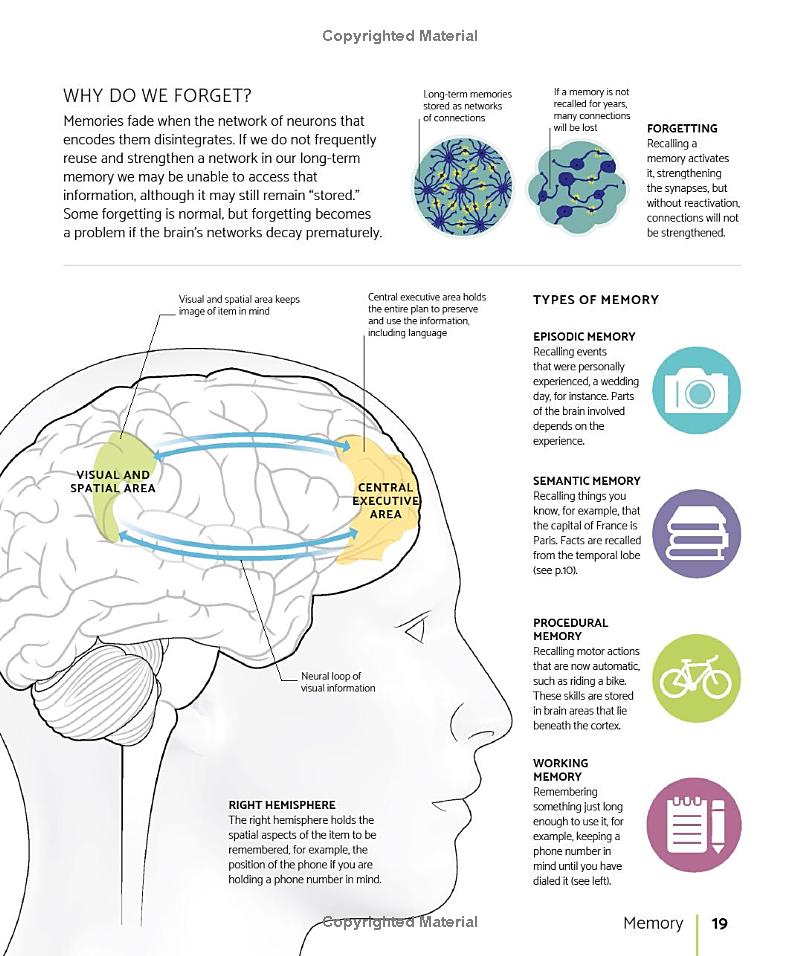 The Brain Fitness Book: Activities And Puzzles To Keep Your Mind Active ...