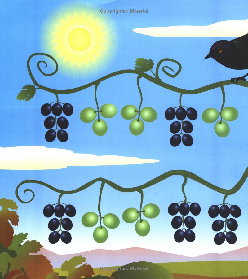 The Grapes Of Math: Mind-Stretching Math Riddles - FAHASA.COM