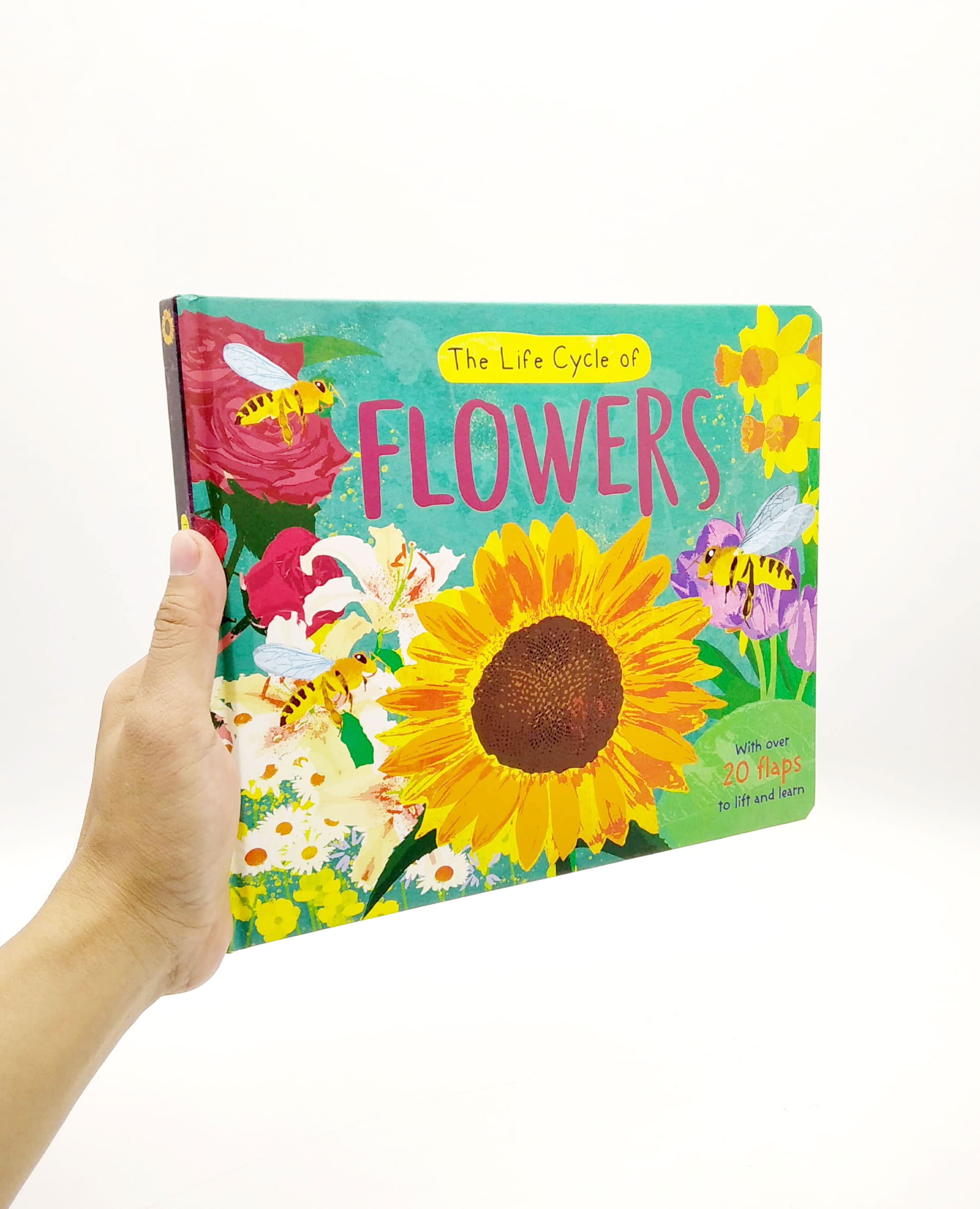 The Life Cycle Of Flowers - FAHASA.COM