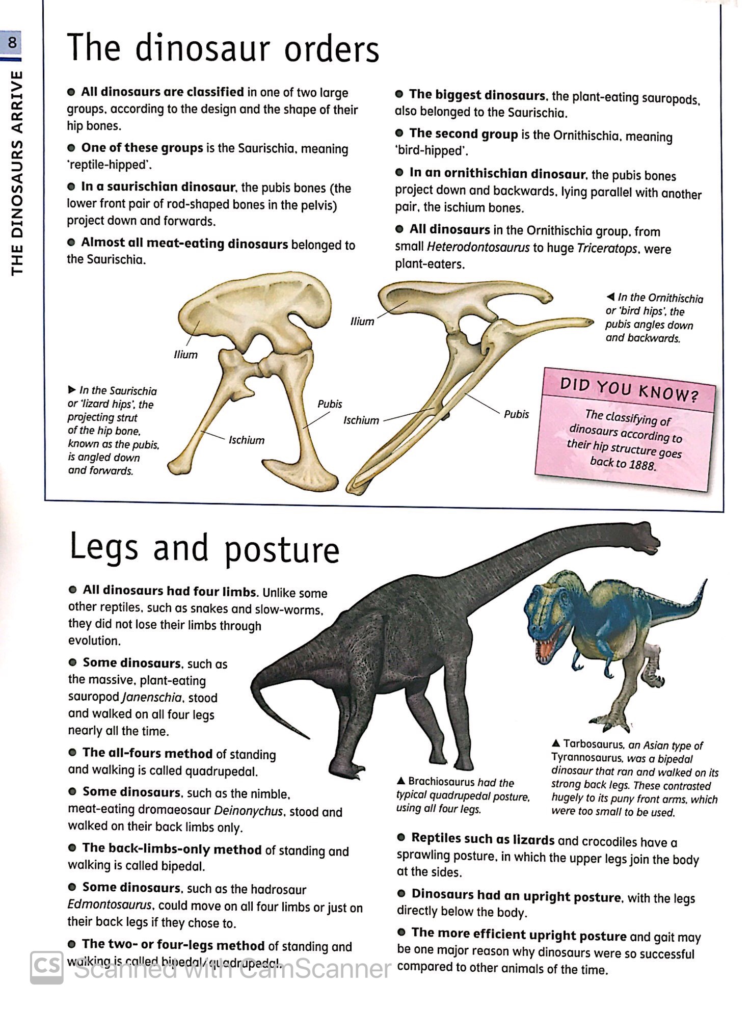 THE ULTIMATE GUIDE - DINOSAUR - FAHASA.COM