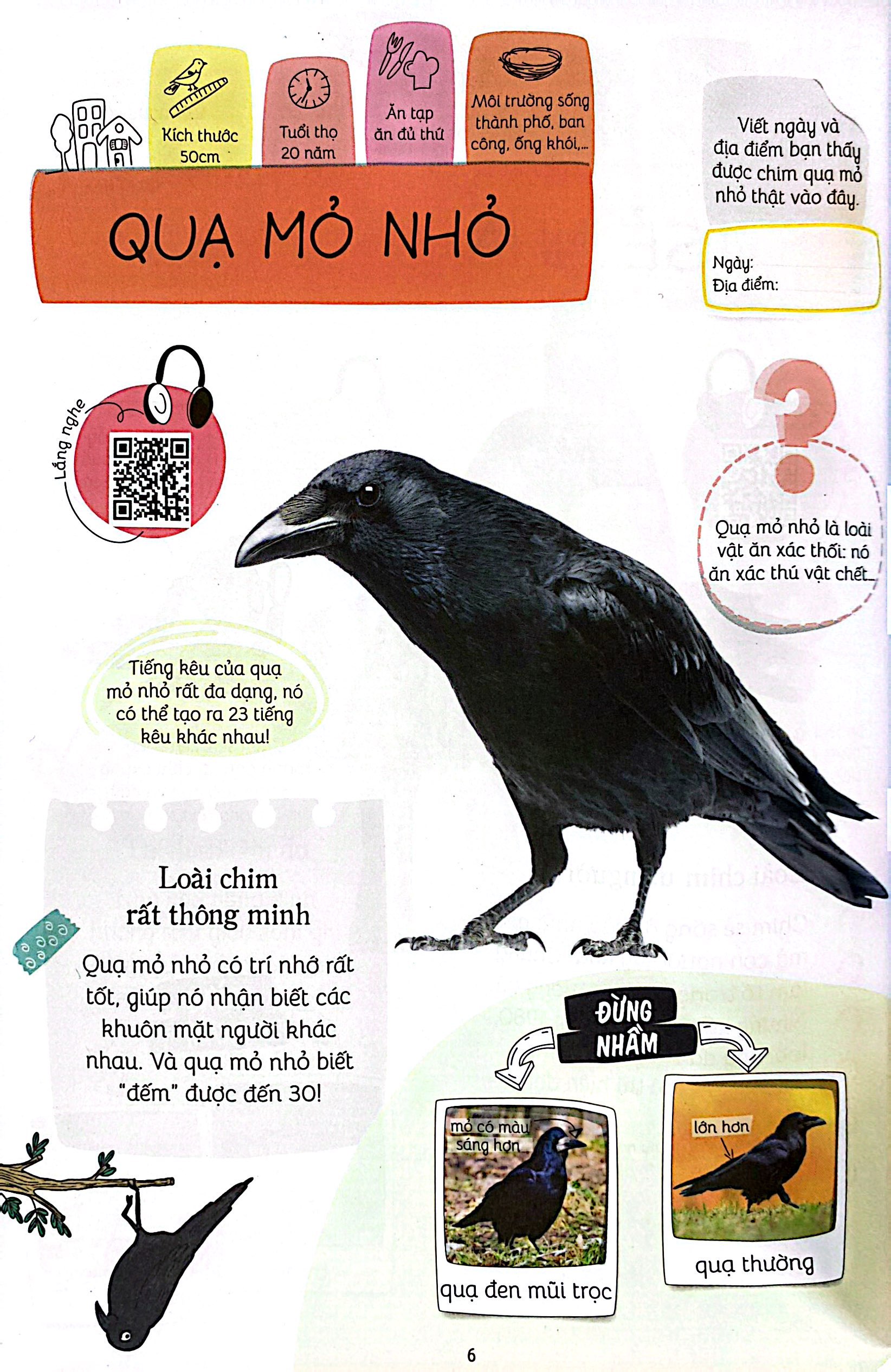 Sách Thiên Nhiên Muôn Màu - STEM - Em Nhận Biết Các Loài Chim - FAHASA.COM