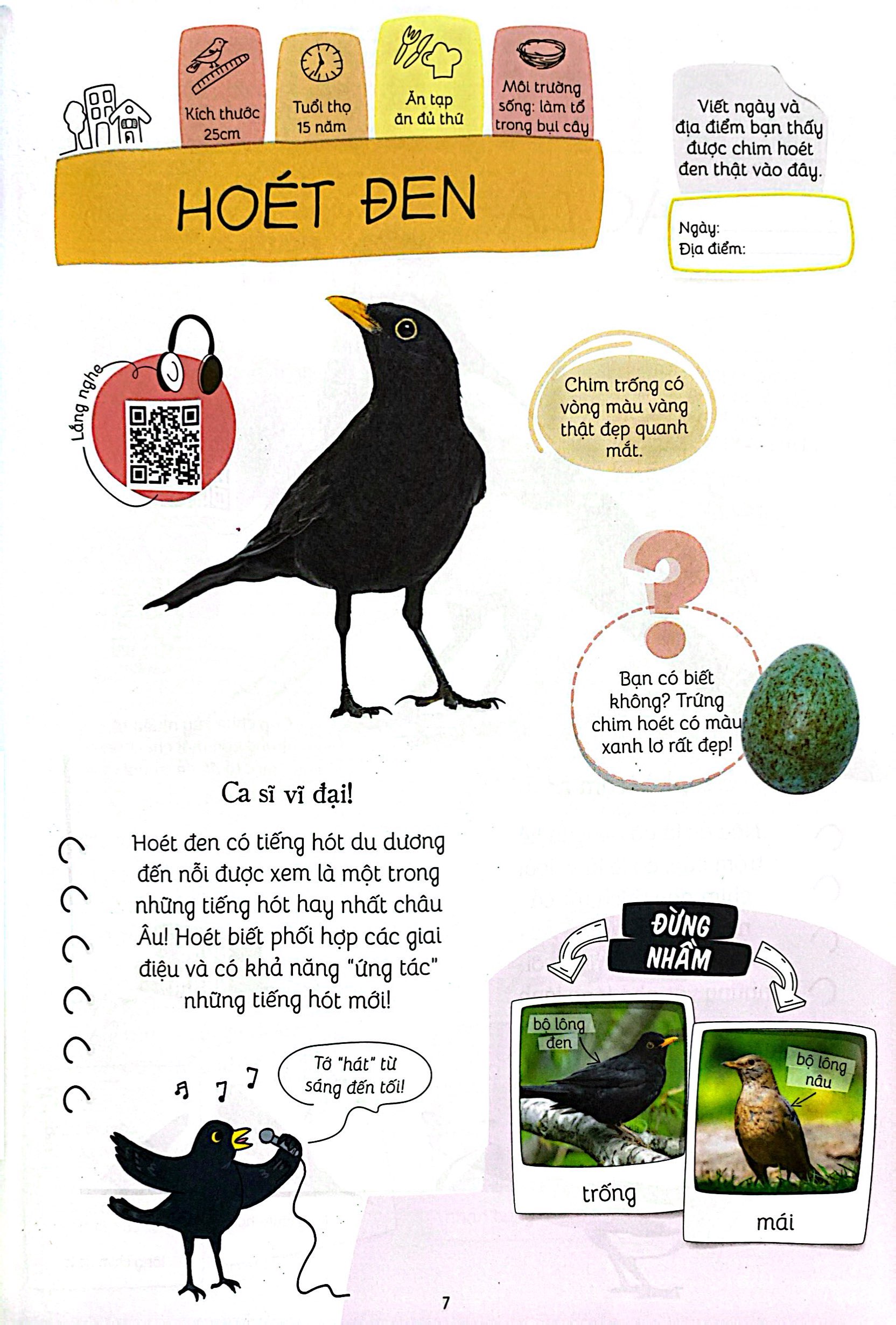 Sách Thiên Nhiên Muôn Màu - STEM - Em Nhận Biết Các Loài Chim - FAHASA.COM