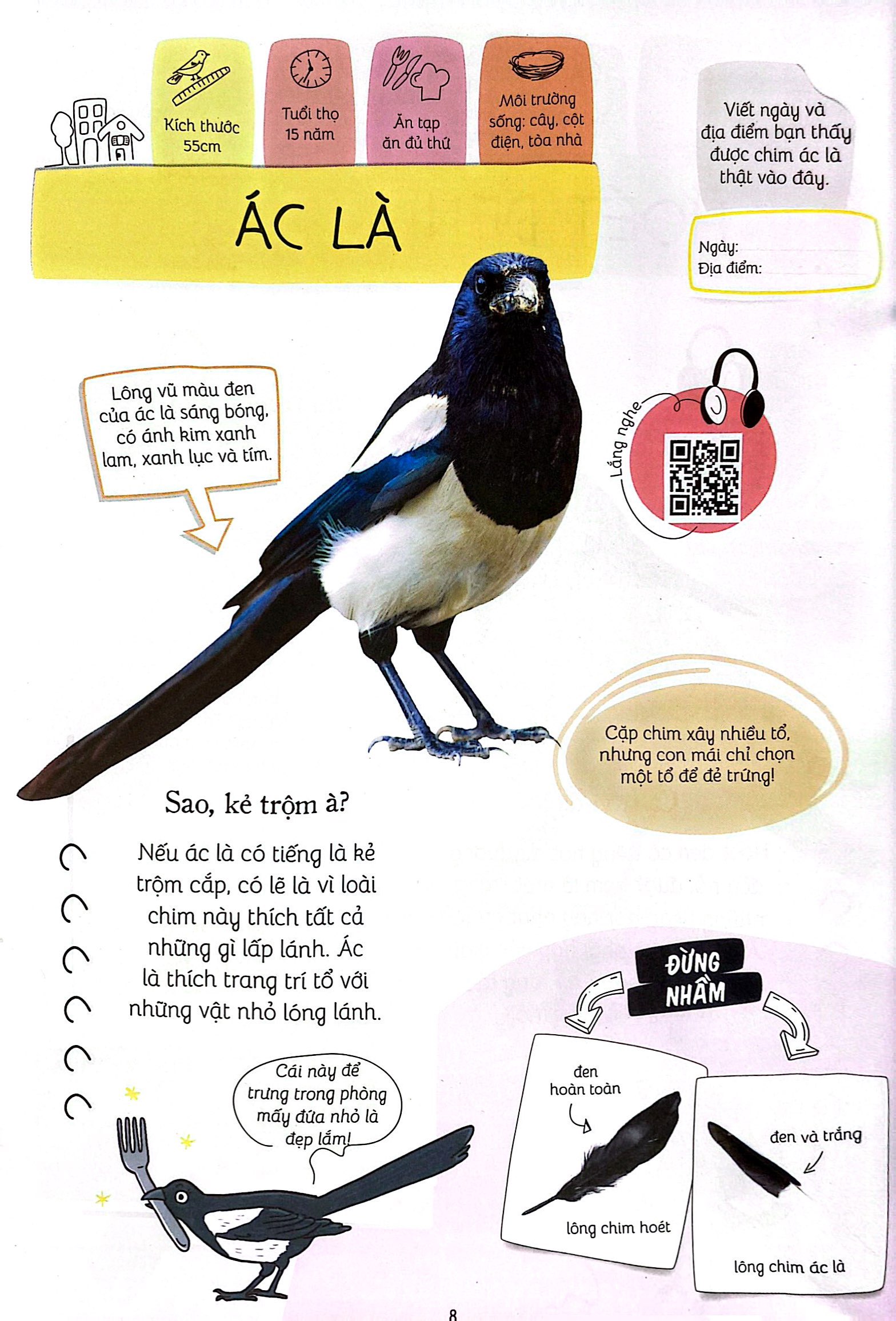 Sách Thiên Nhiên Muôn Màu - STEM - Em Nhận Biết Các Loài Chim - FAHASA.COM