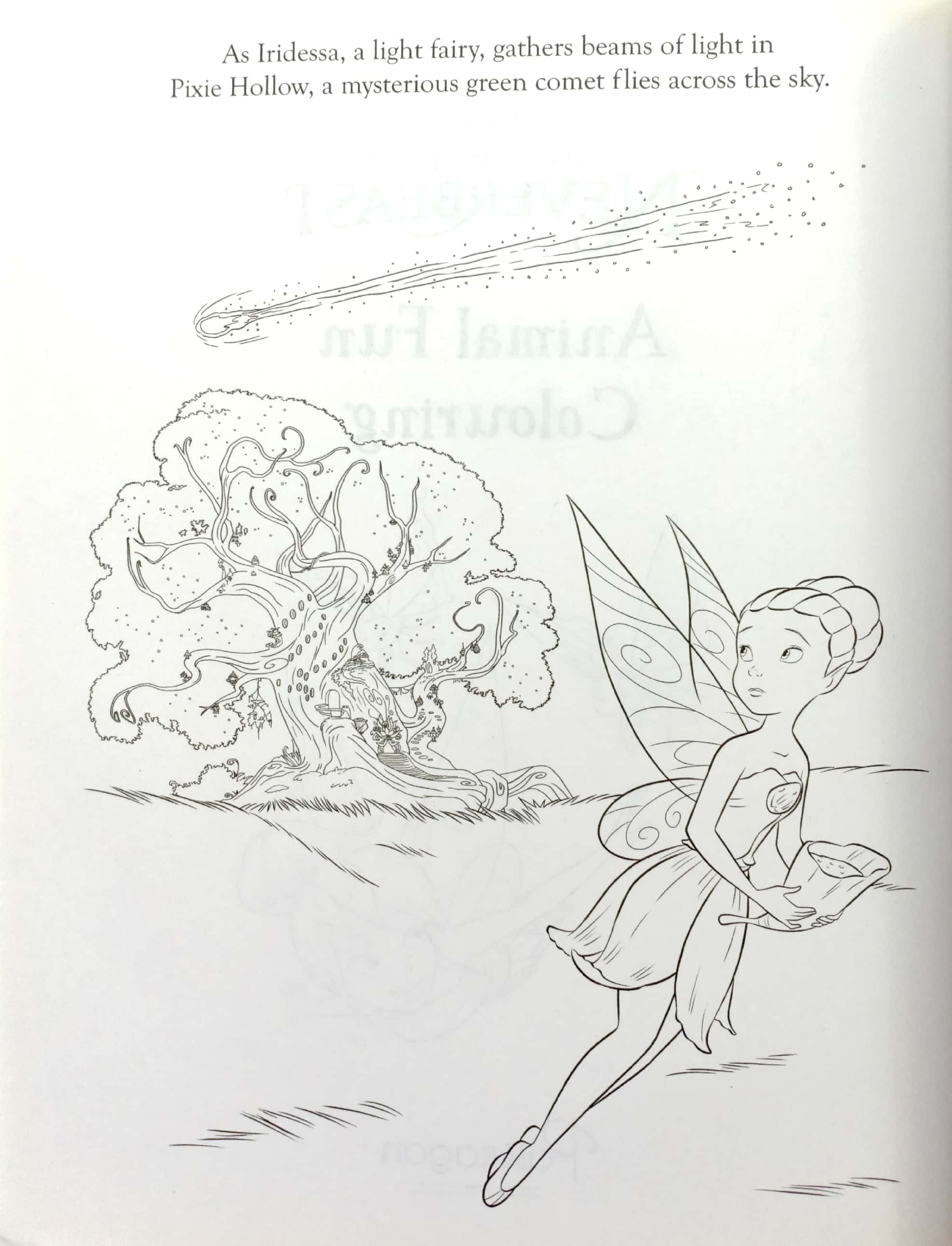 Tinkerbell and the Legend of the Neverbeast : Animal Fun Colouring ...