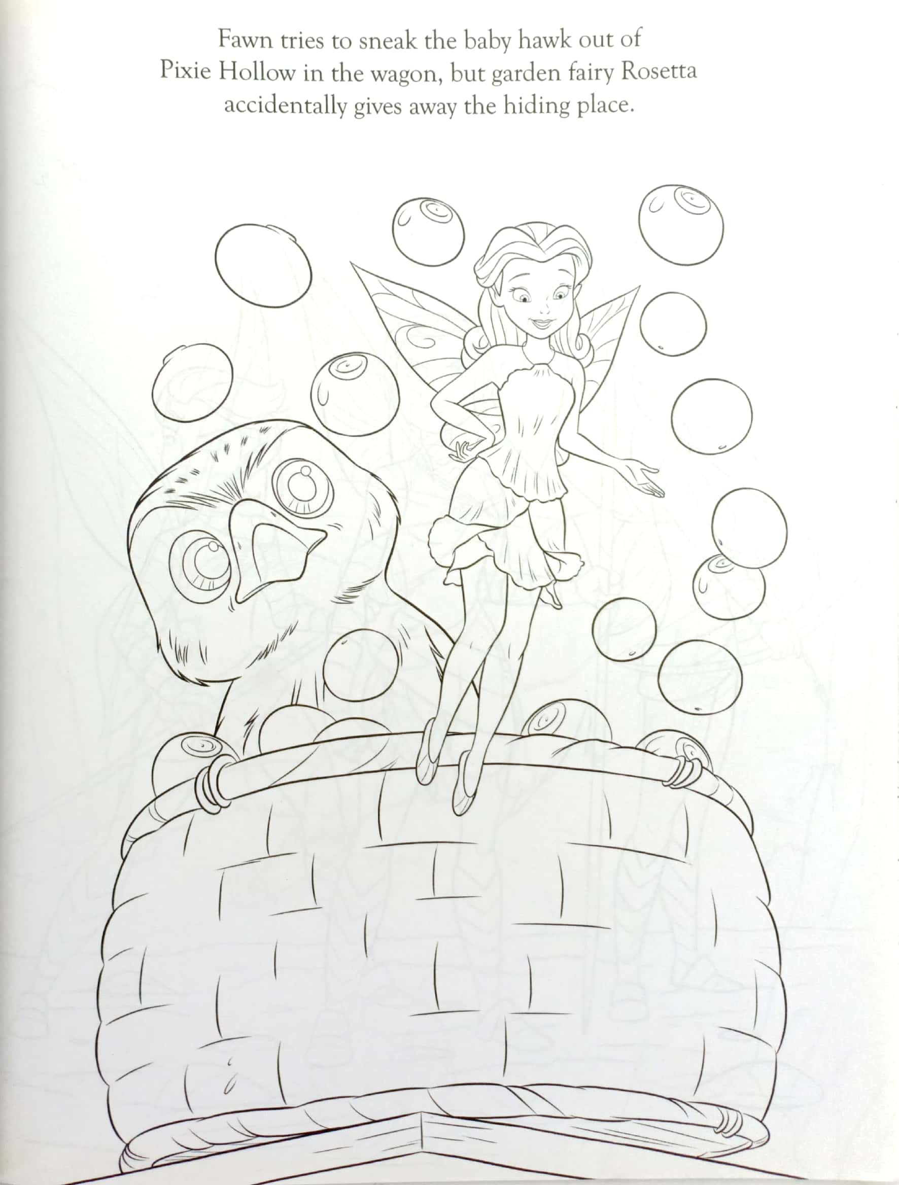 Tinkerbell and the Legend of the Neverbeast : Animal Fun Colouring ...