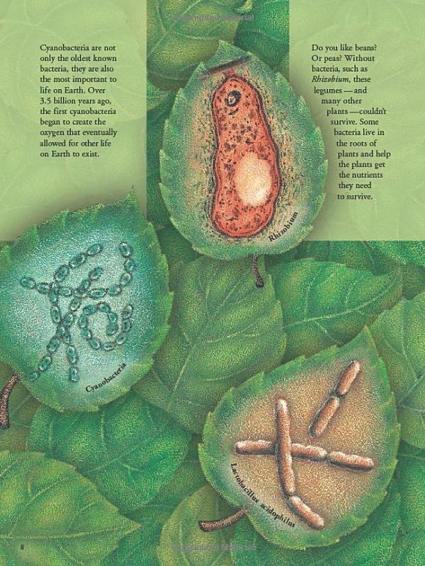 Tree Of Life: The Incredible Biodiversity Of Life On Earth (CitizenKid)