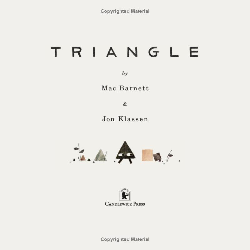 Triangle (The Shapes Trilogy) - FAHASA.COM