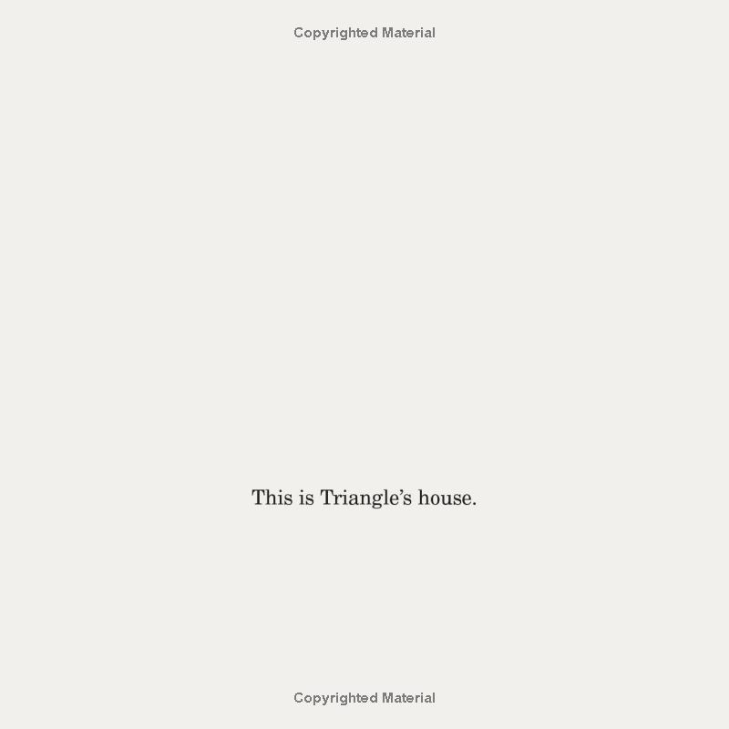 Triangle (The Shapes Trilogy) - FAHASA.COM