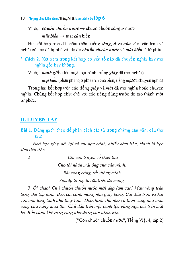 Trọng Tâm Kiến Thức Tiếng Việt Luyện Thi Vào Lớp 6 - Có Đáp Án - T - FAHASA.COM