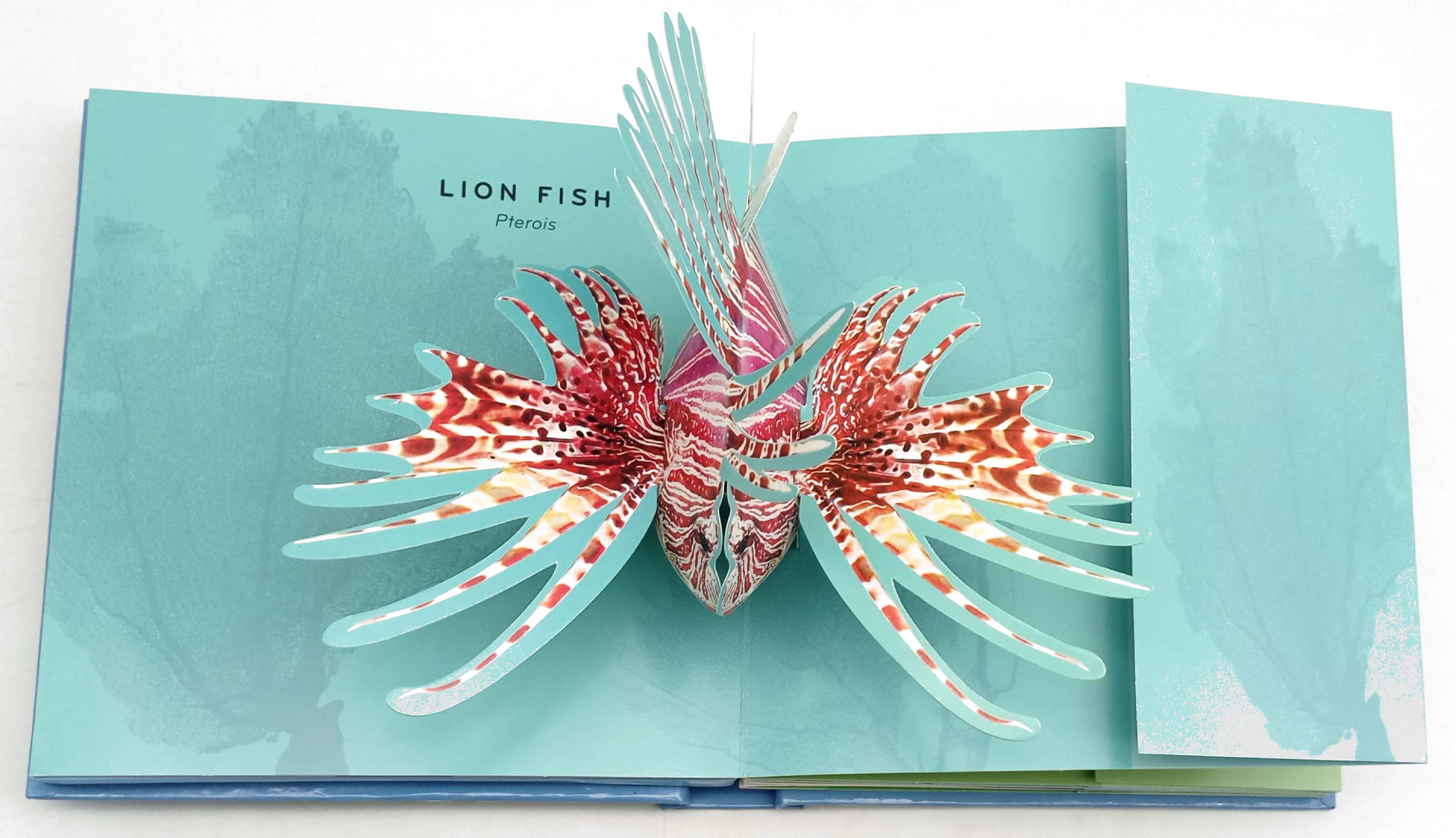 Tropical Fish: Pop-Up
