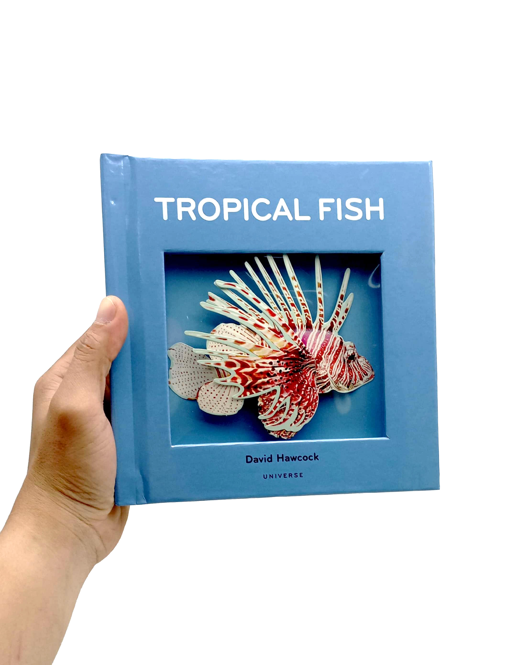 Tropical Fish: Pop-Up