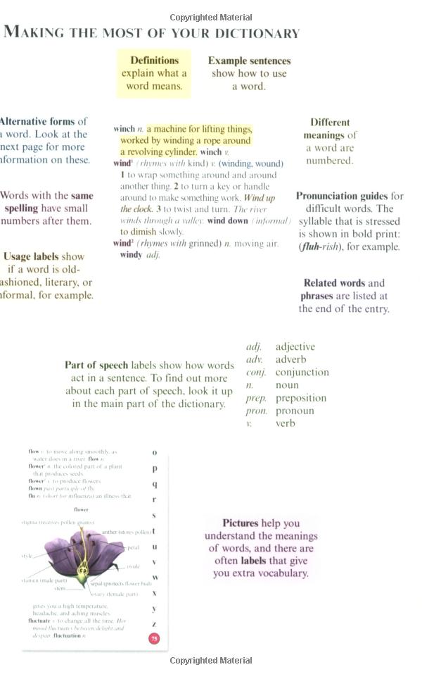 US Kingfisher Illustrated Pocket Dictionary - FAHASA.COM