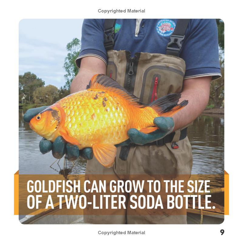 Weird But True Animals - FAHASA.COM