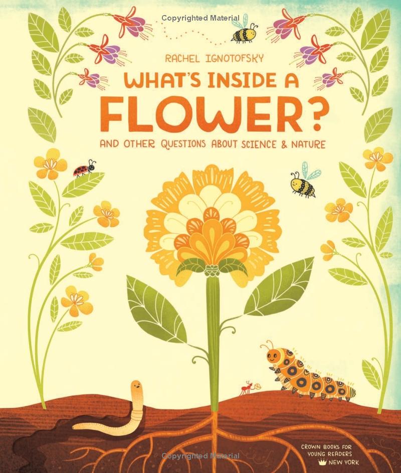 What's Inside A Flower?: And Other Questions About Science & Nature ...