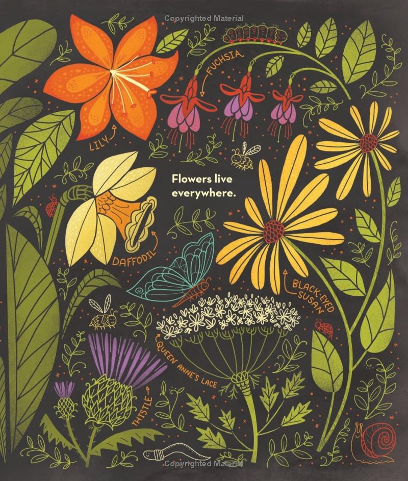 What's Inside A Flower?: And Other Questions About Science & Nature ...