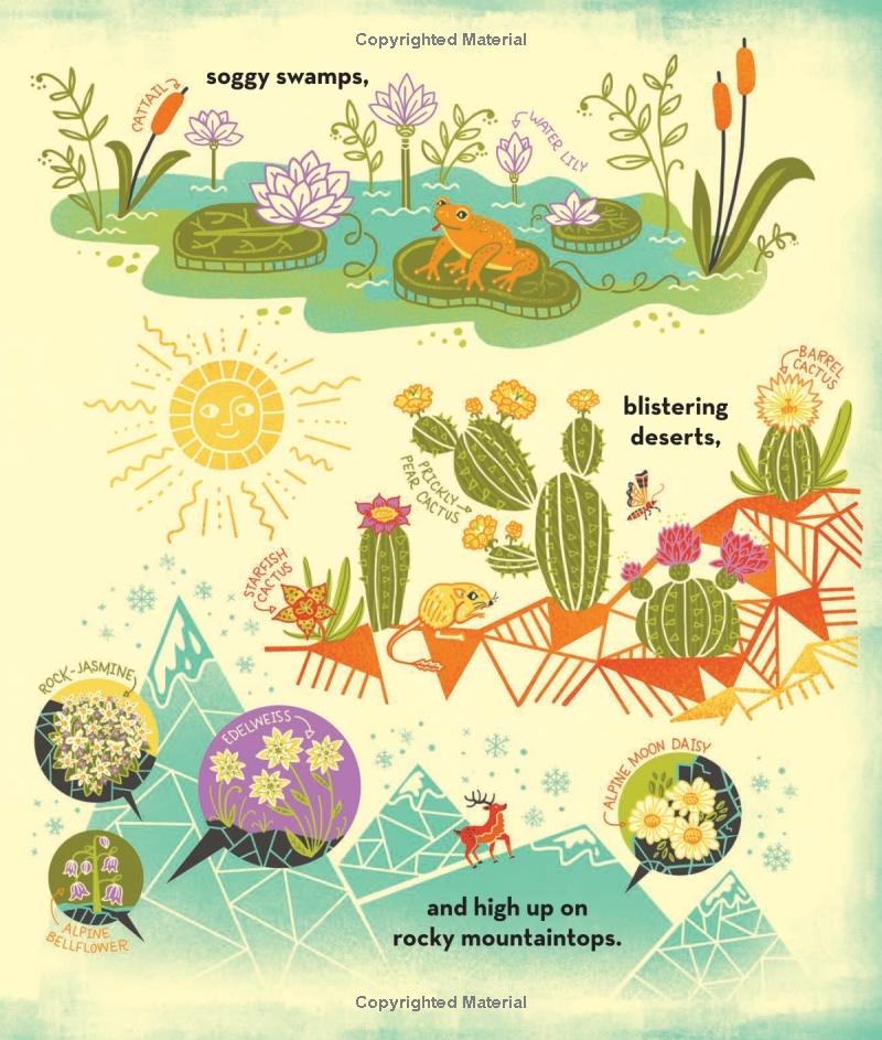 What's Inside A Flower?: And Other Questions About Science & Nature ...