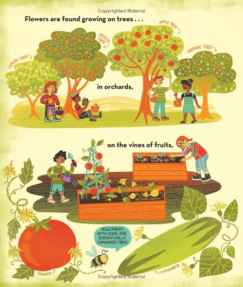 What's Inside A Flower?: And Other Questions About Science & Nature ...